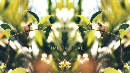 Tracey Clark | Tracey Clark- author, photographer, teacher, speaker ...