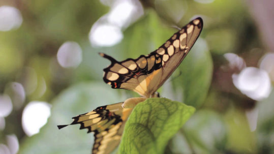 Tracey Clark | Tracey Clark- author, photographer, teacher, speaker ...